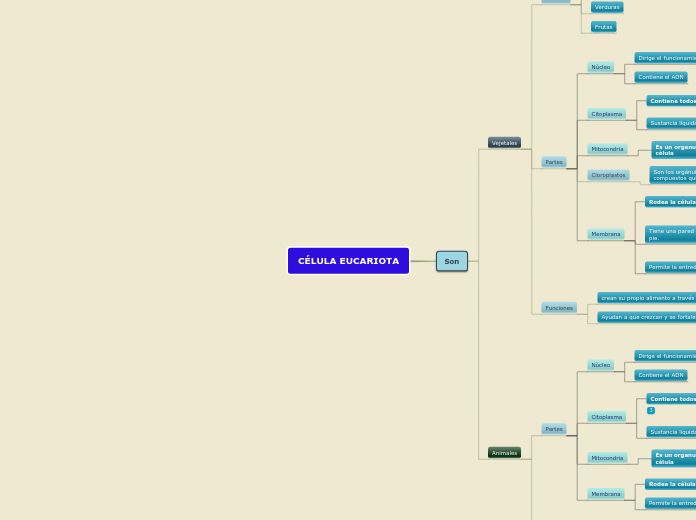 CÉLULA EUCARIOTA - Mind Map